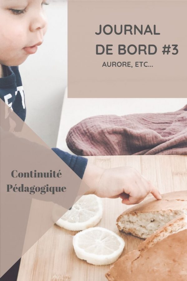 Journal de bord pendant le confinement #3